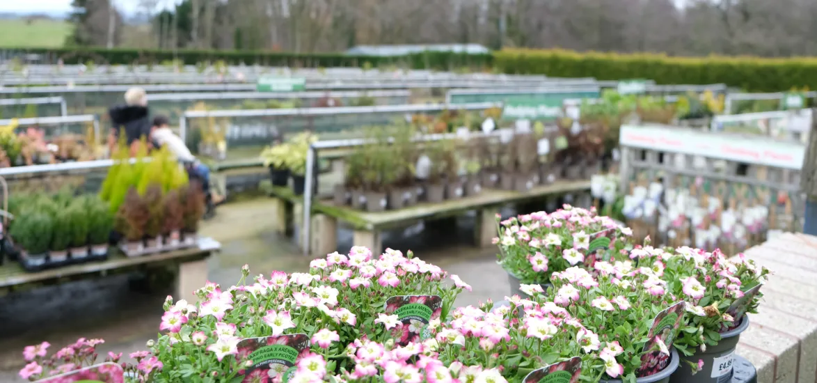 The Garden, Plants and Landscaping Centre at Bramshall Farm - Uttoxeter